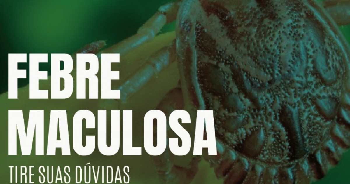 Febre maculosa: Hoesp alerta sobre prevenção e cuidados com a doença